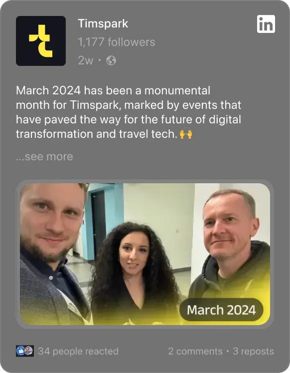 About Timspark – Pioneering Software Development Services